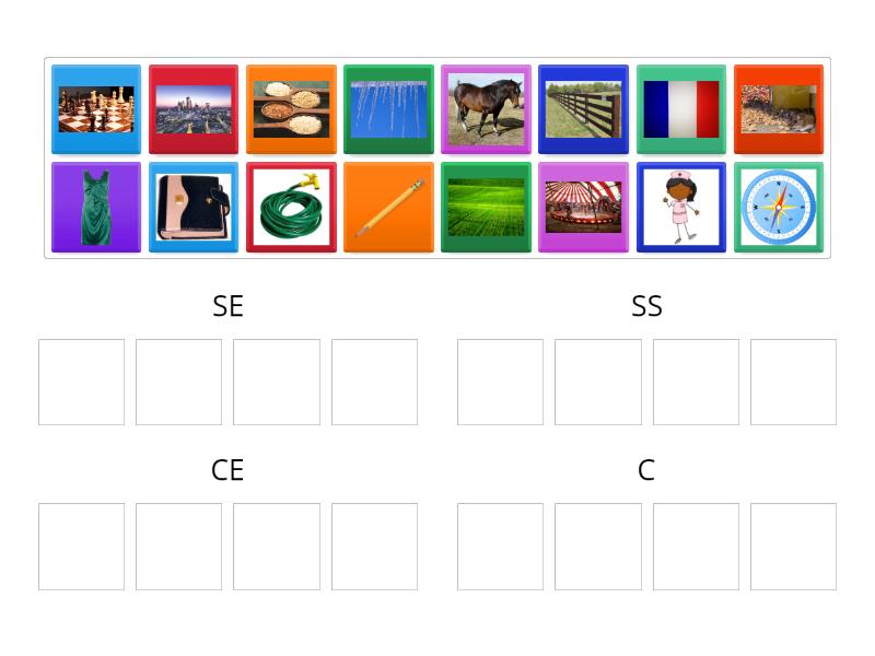 'ss'/ 'se'/ 'ce'/ 'c' Phonics game - Group sort