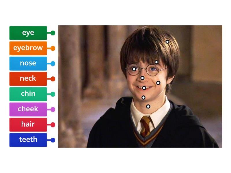 Harry (parts of the head) - Diagrama con etiquetas