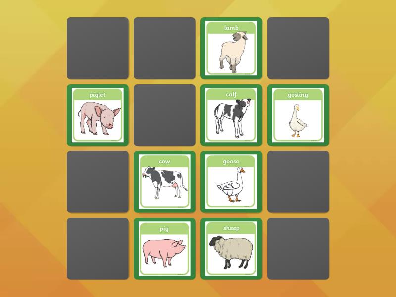 of Farm Animals. Find Pairs - Matching pairs