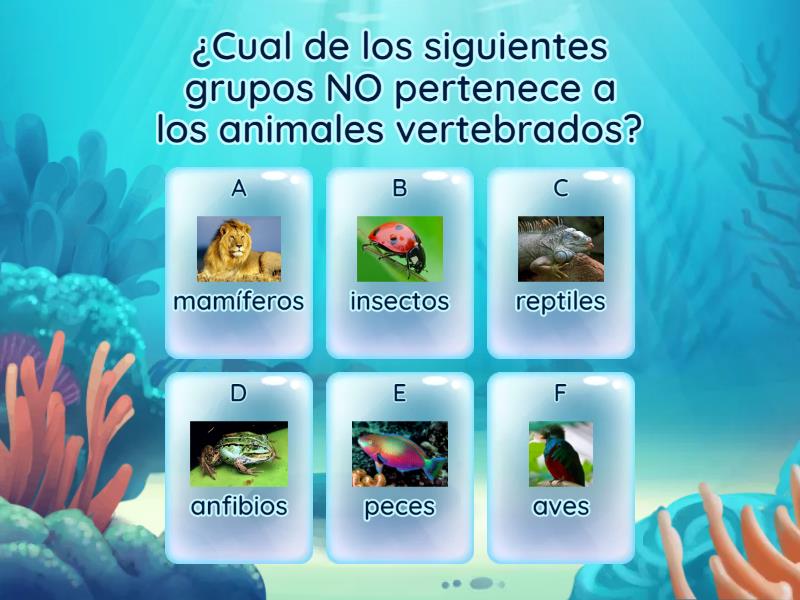 LOS ANIMALES VERTEBRADOS - Quiz