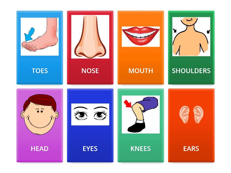 BODY PARTS - EYES, EARS, HANDS AND FEET - Flip tiles