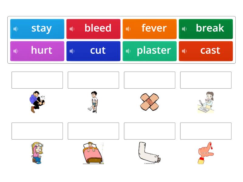 sj 4 module 7 smart kinds - Match up
