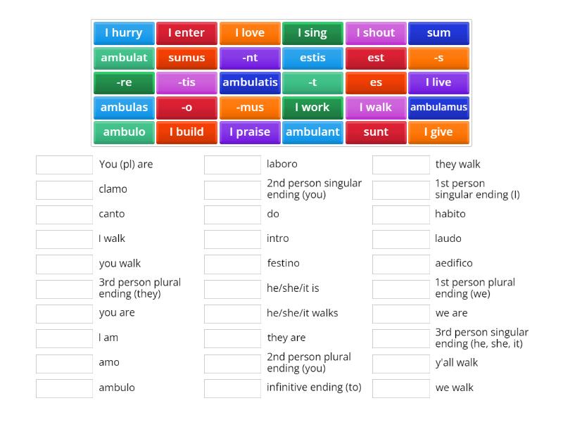Verb parts matching 1st conj - Match up
