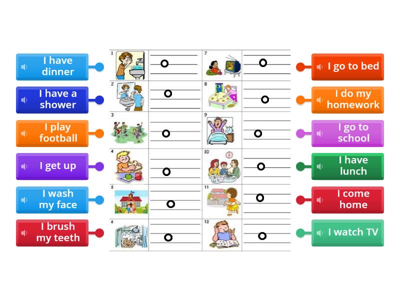 Daily routine - Labelled diagram
