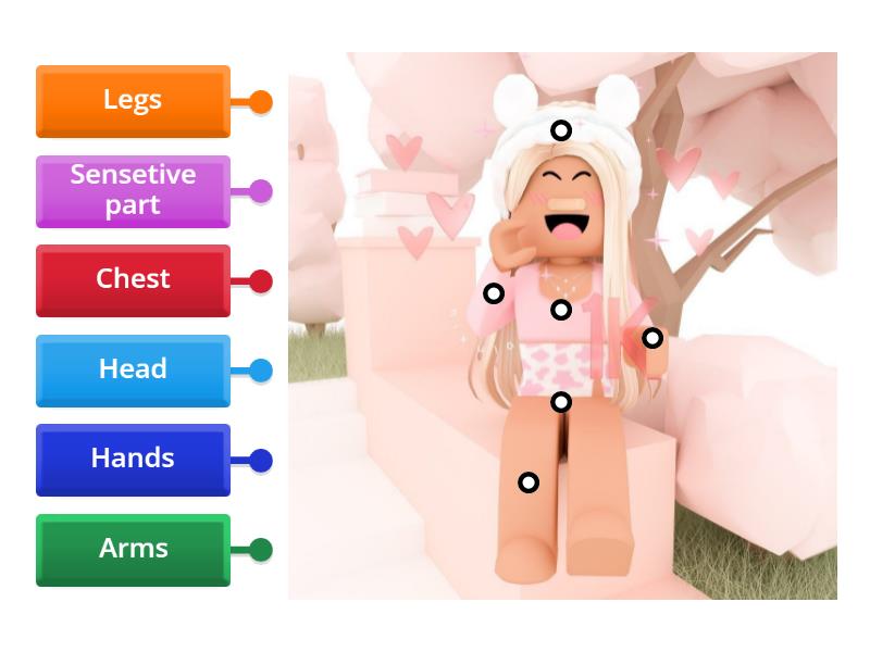 Roblox girl body parts - Labelled diagram