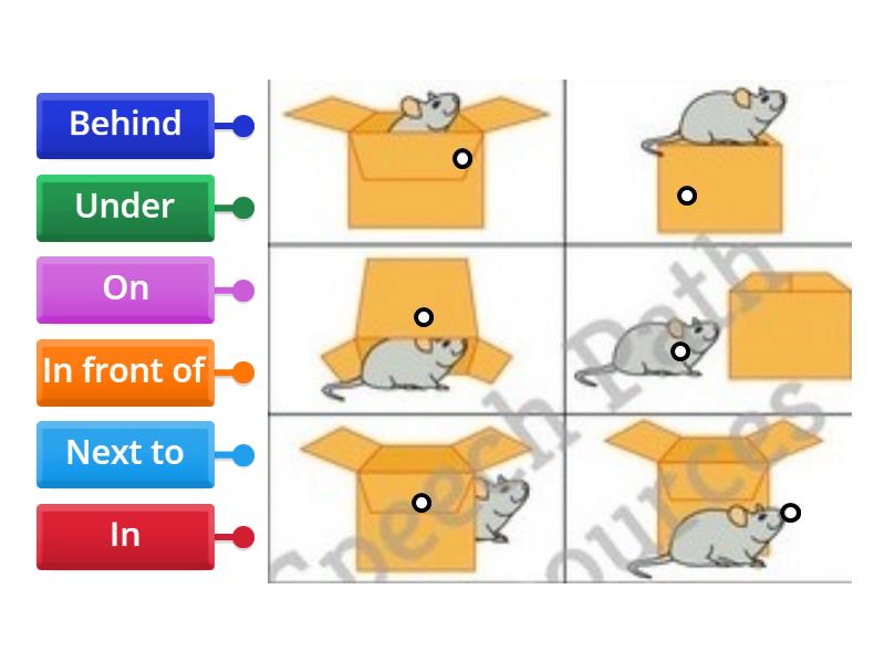 Prepositions! by Sarah Zingg - Labelled diagram