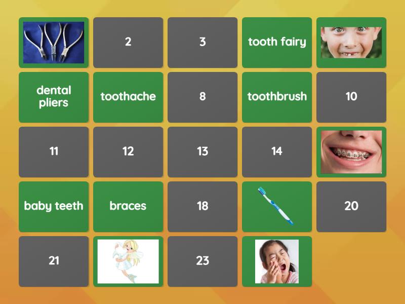 Teeth Vocabulary - Matching pairs