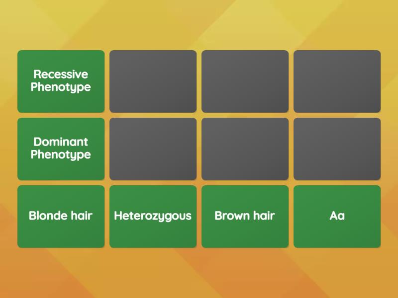Genotypes vs Phenotypes - Matching pairs