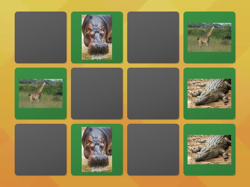 Wild Animals - Matching pairs