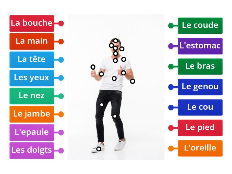 CP1 U4 - Les parties du corps - Labelled diagram