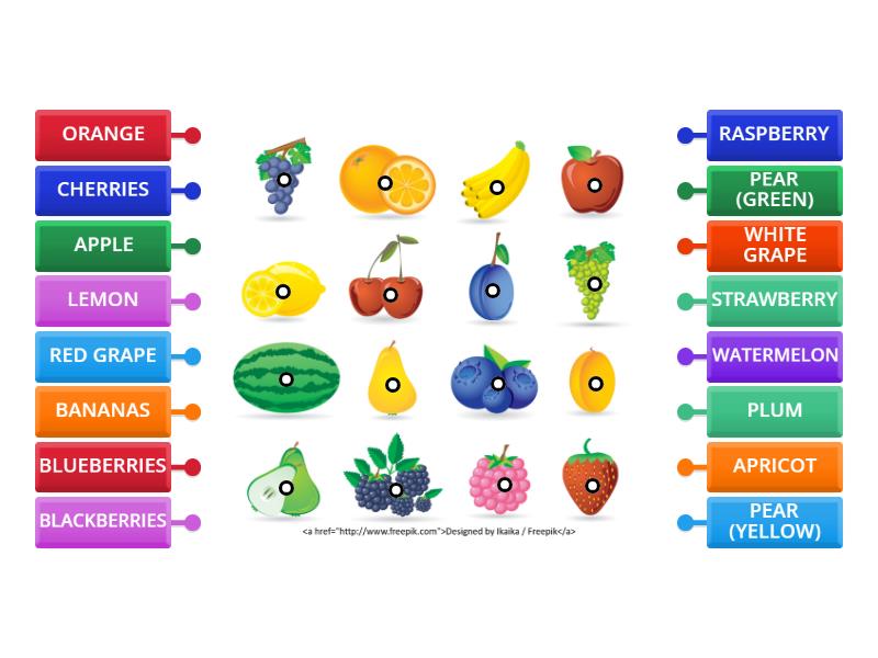 Fruit - Labelled diagram