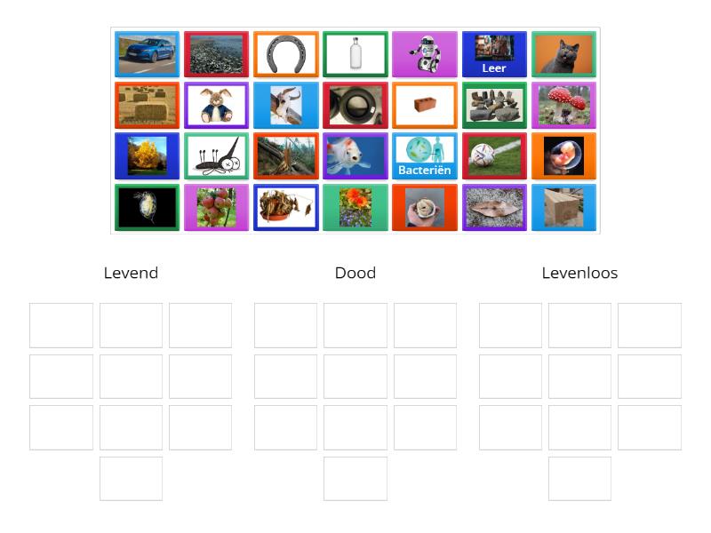 Levend, dood of levenloos? - Group sort