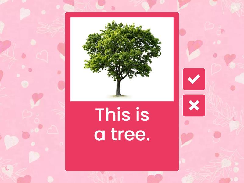 Starters 3 Part 1 - Flash cards