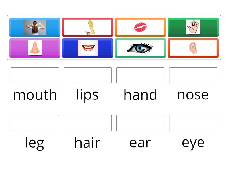Parts of body - Match up