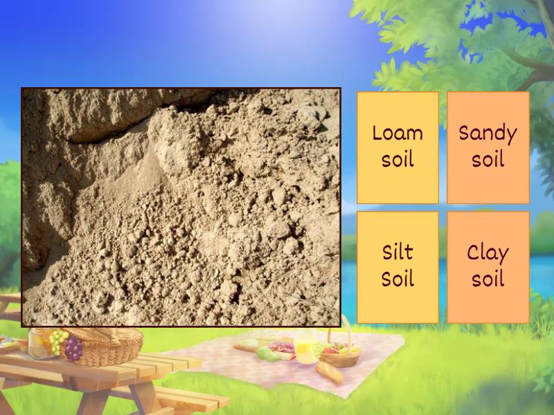 Science 3: Soil types and Layers - Quiz