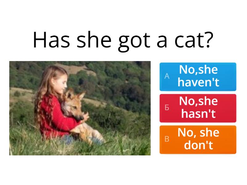 Have you got/Has she got unit 4 - Quiz