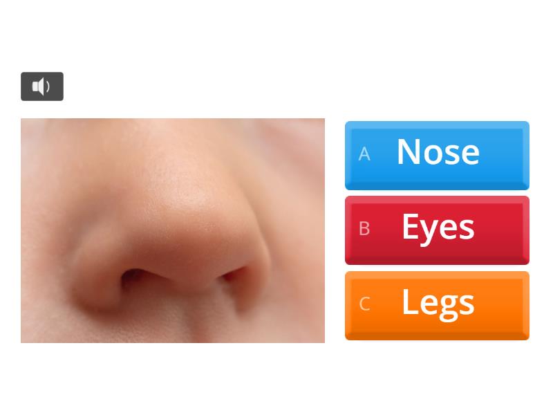 AS1 - U7 - L1: Body parts - Quiz