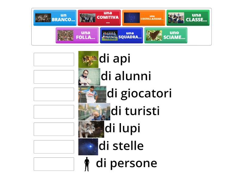 NOMI COLLETTIVI - Match up