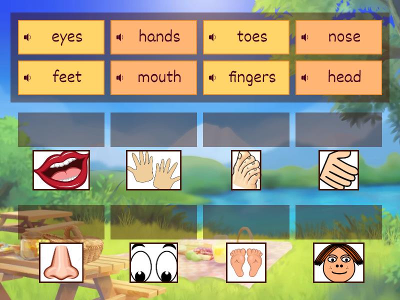 I Wonder Starter Unit 4| Parts of the Body - Match up