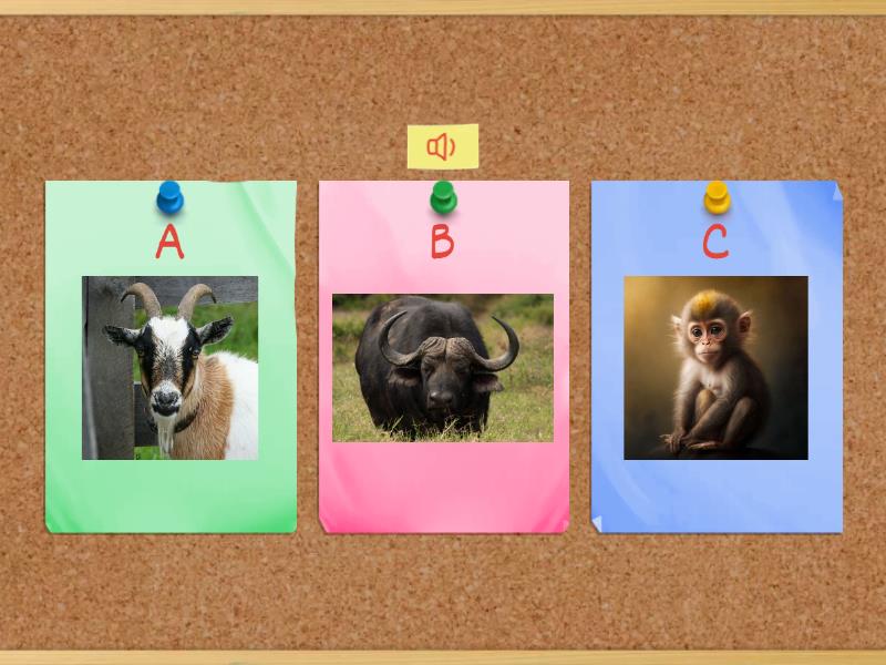 alphabets grade 1,2 and 3 - Quiz