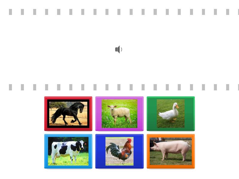 Farm Animal Sound - Find the match