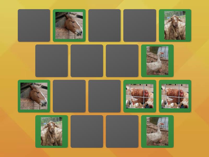 Gli animali della fattoria - Uscita didattica - Matching pairs