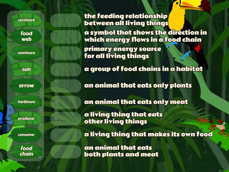 Food Chain 6b Vocabulary - Une las parejas