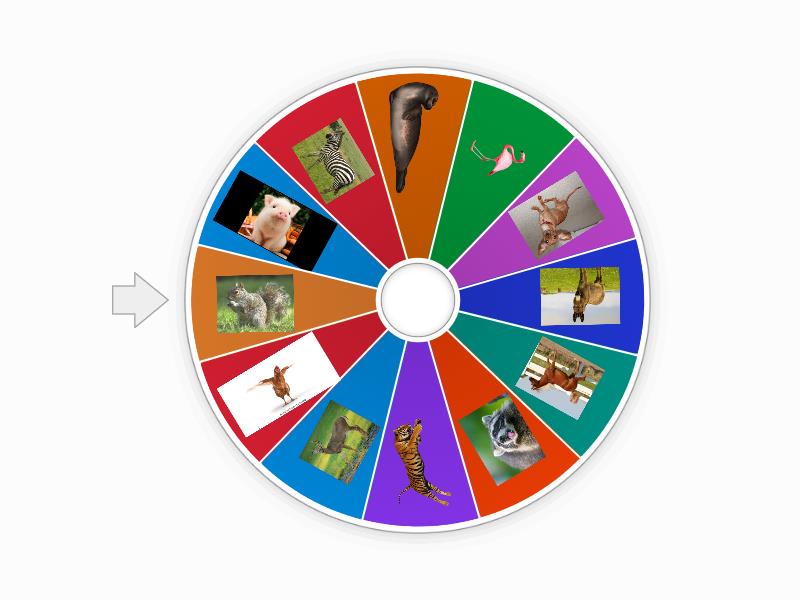 Animals - Spin the wheel