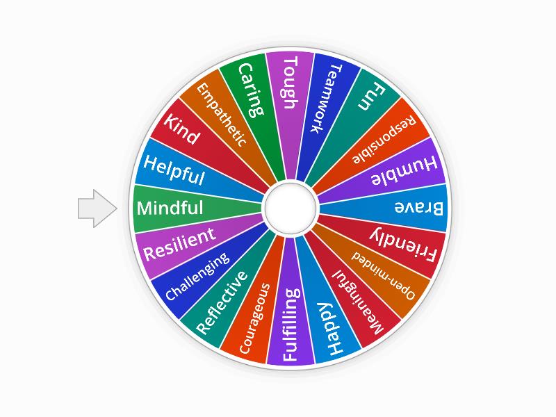 PCPS Peer Support Leaders Experience - Spin the wheel
