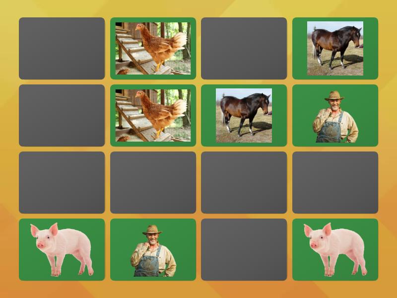 farm - Matching pairs