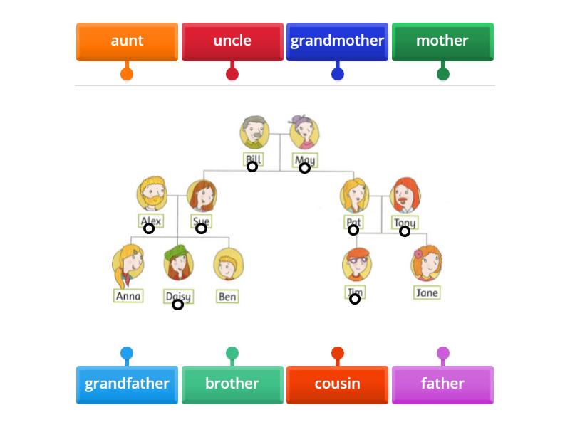 Jane's family tree - Labelled diagram