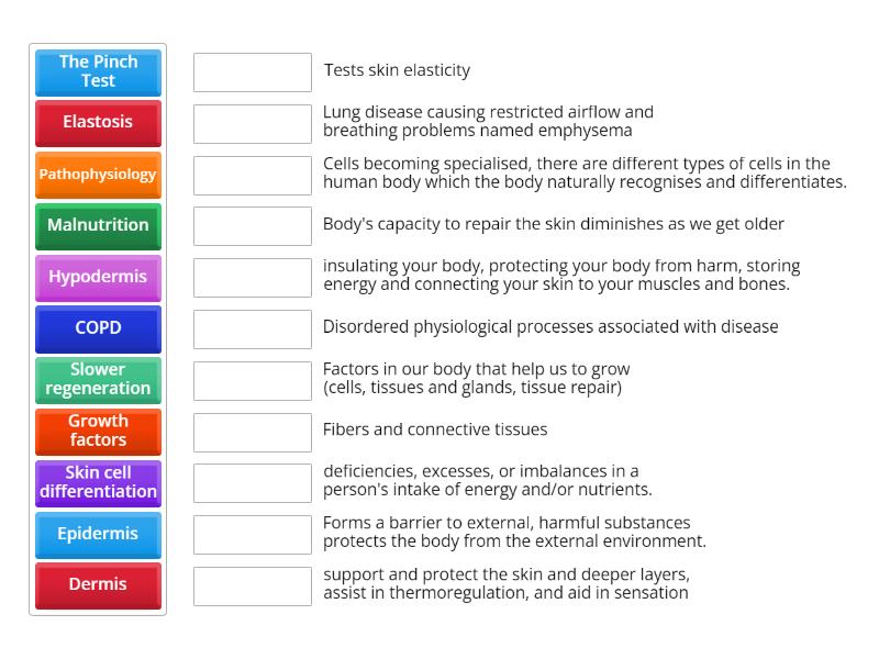 T level starter task - Match up