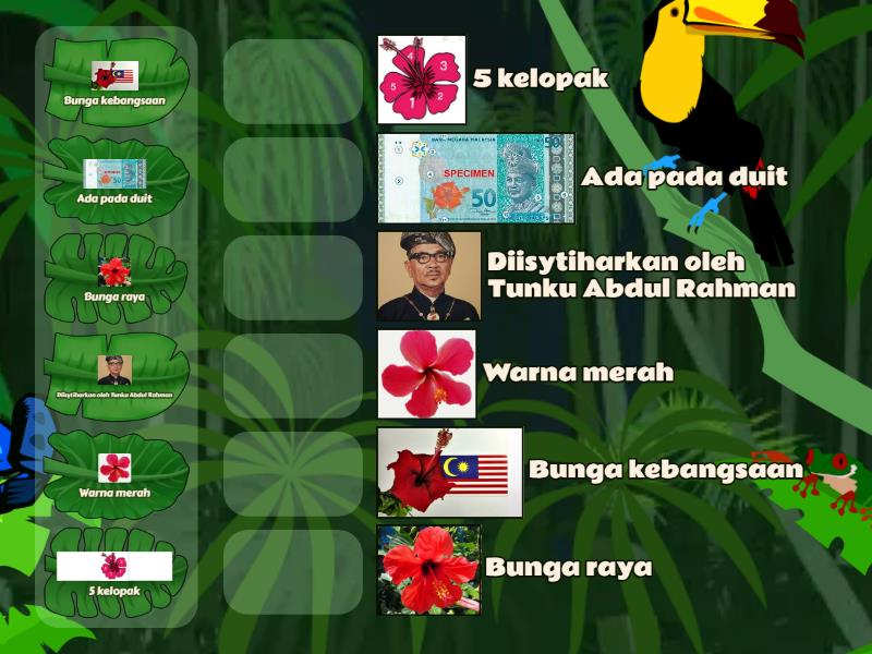 Bunga Kebangsaan - Match up