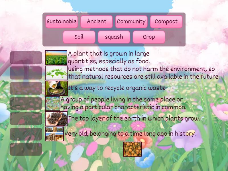 When ancient wisdom beats modern industry - Match up