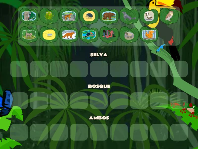 Selva vs Bosque - Group sort