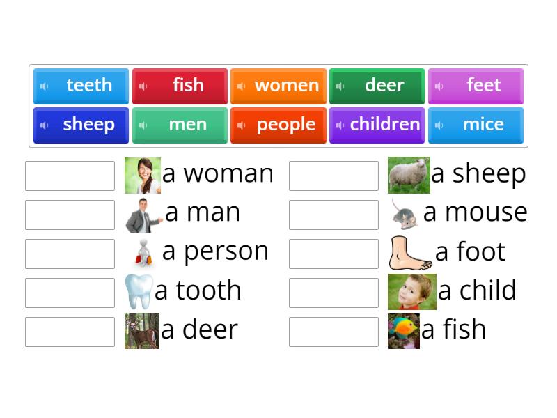 Irregular Plurals - Match up