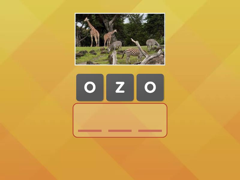 Phonics oo - Anagram