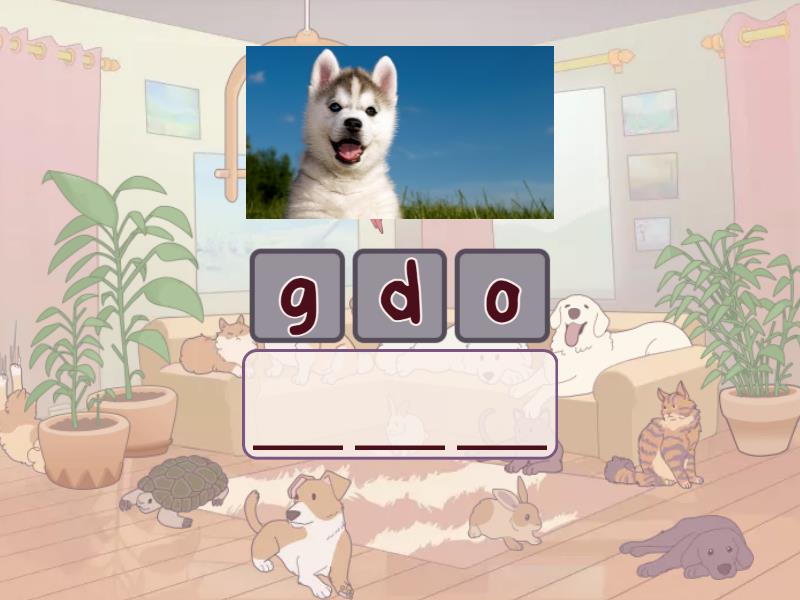 Pets / Word Scramble - Anagram