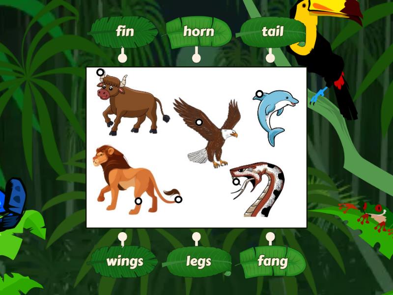 Pin the Body Part - Labelled diagram