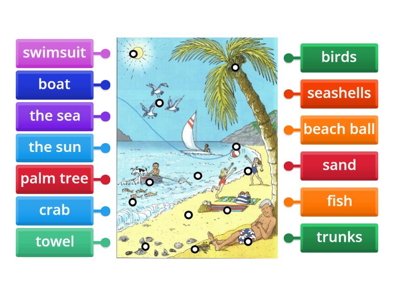 On the beach - Labelled diagram