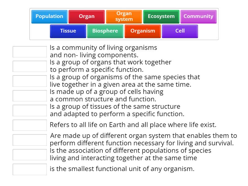 Levels of Biological Organization - Match up