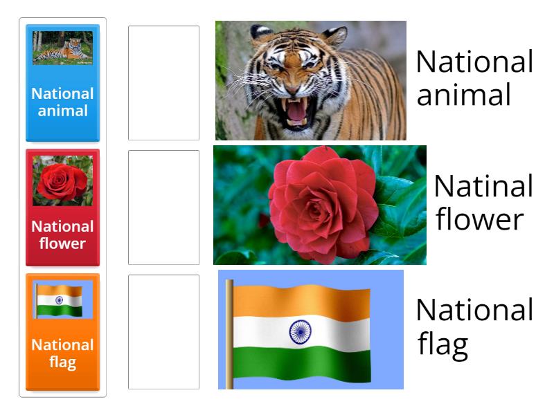 National symbols - Match up