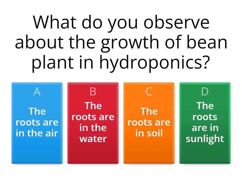 Science hydroponics - Quiz