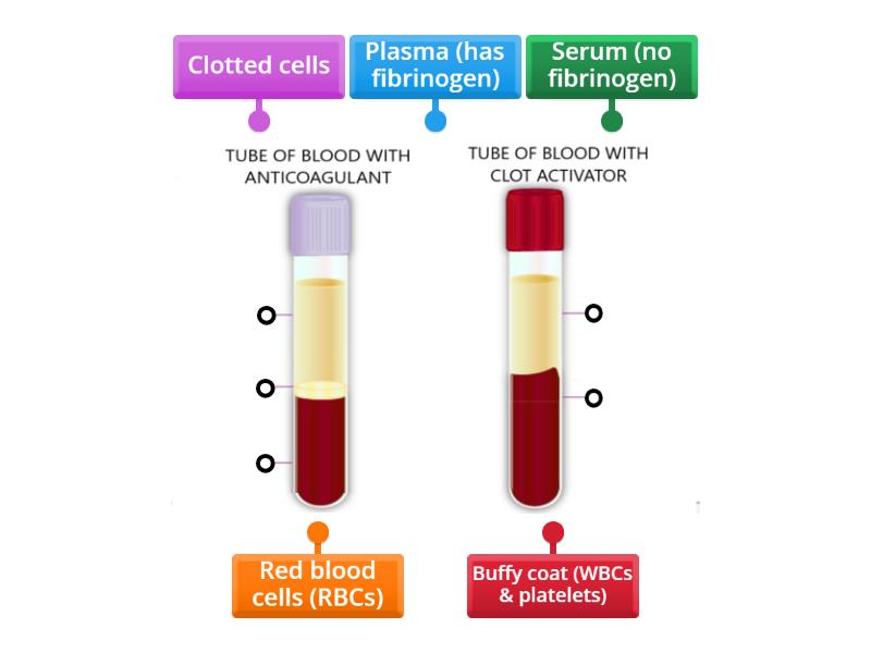 MLA110 Week 1 Blood Layers - Anticoagulated vs Clot Activator tubes ...