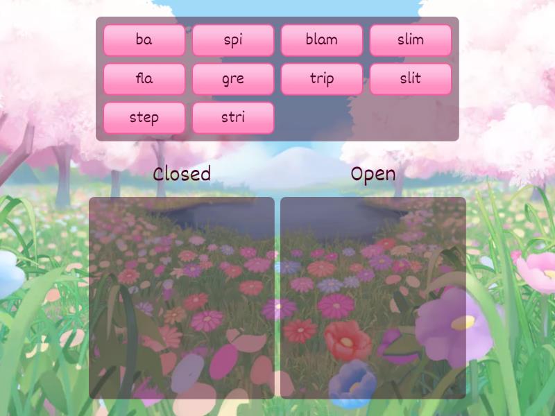 Syllable Sort - Closed and Open Syllables - Categorize