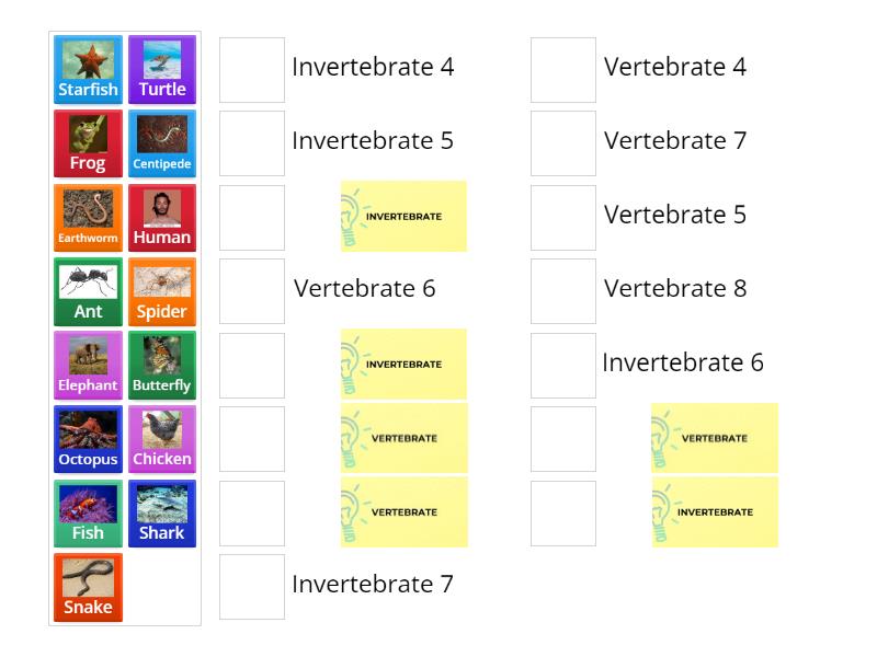 Vertebrates and Invertebrates - Match up