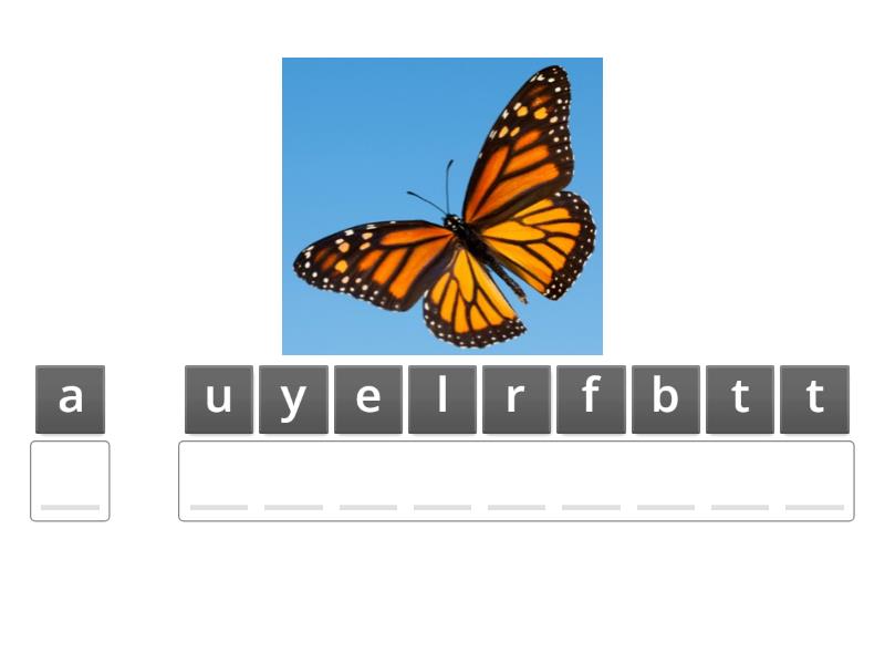Insects - Anagram