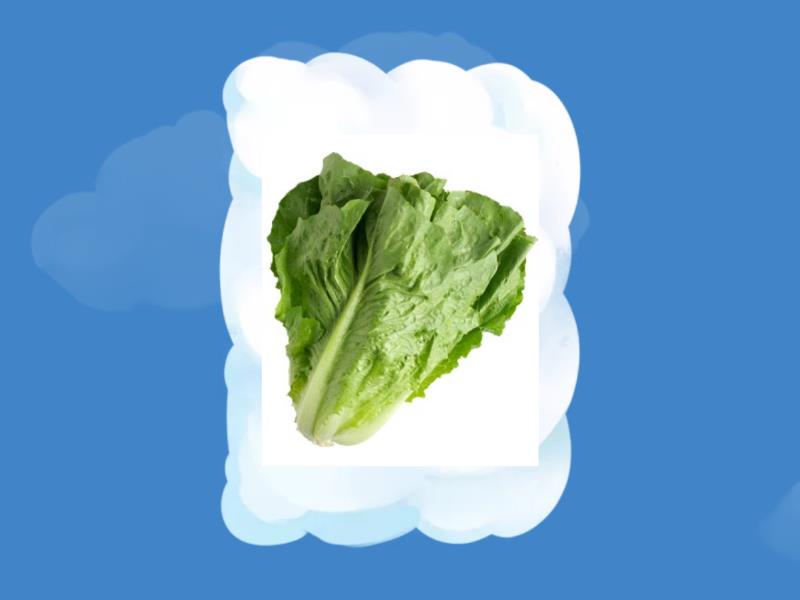 Food 3grade (Smart Juniour 3) - Flash cards