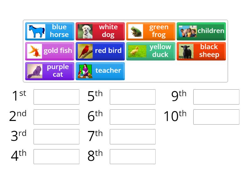 Sequencing ( brown bear what do you see ?) - Ustaw w kolejności