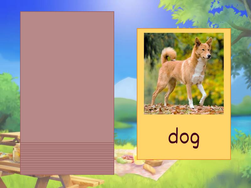 Animals - Speaking cards